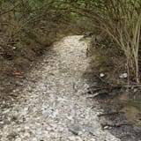 Oak Cliff Full Loop, Texas - 781 Reviews, Map | AllTrails