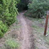 Oak Cliff Full Loop, Texas - 781 Reviews, Map | AllTrails