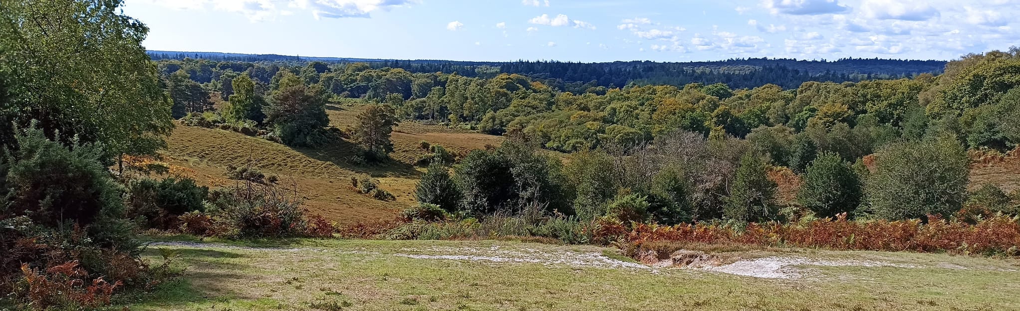 Acres Down and Highwater Circular, Hampshire, England - 53 Reviews, Map ...