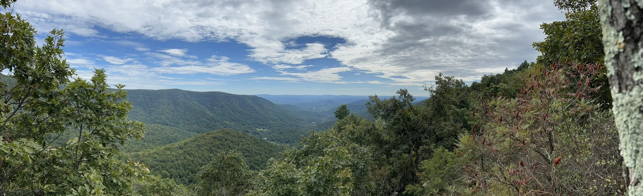 Powell Gap to Simmons Gap via Appalachian Trail: 187 Reviews, Map ...