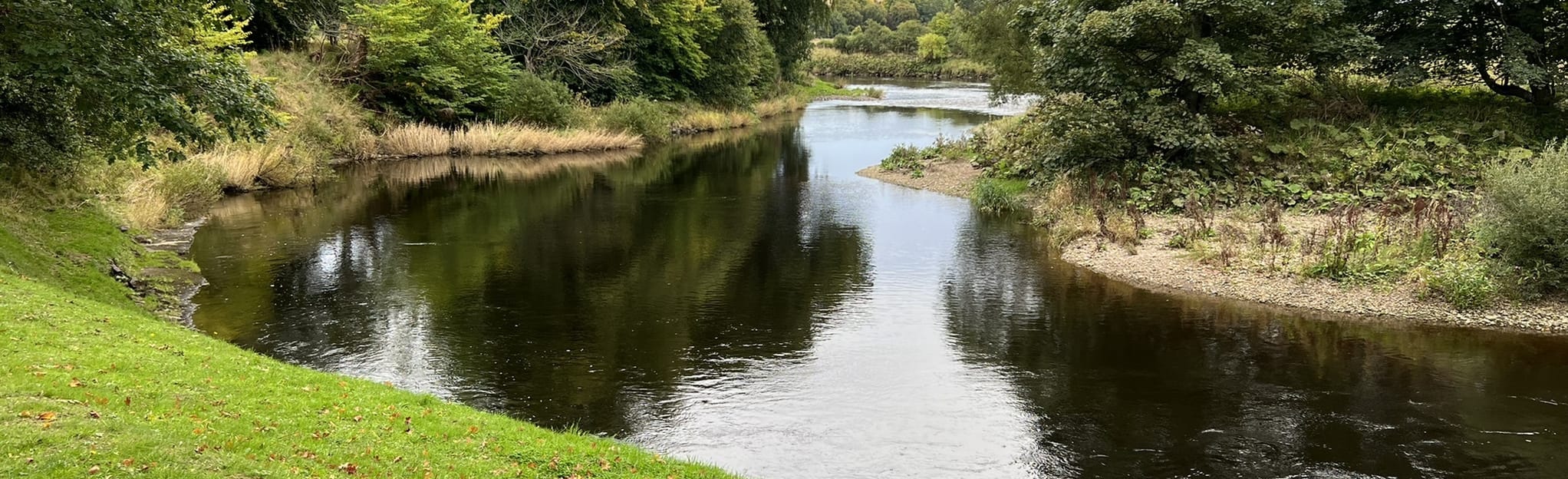 Forglen Estate, Aberdeenshire, Scotland - 11 Reviews, Map | AllTrails