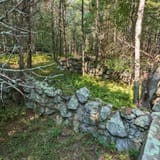 Copicut Woods, Massachusetts - 161 Reviews, Map | AllTrails