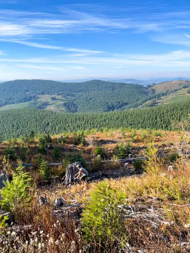 10 Best Hikes and Trails in Yacolt Burn State Forest | AllTrails