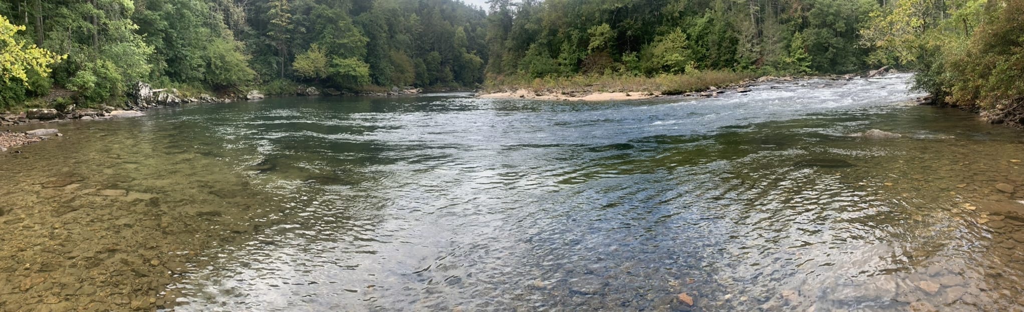 Woodall Shoals Trail, South Carolina - 16 Reviews, Map | AllTrails