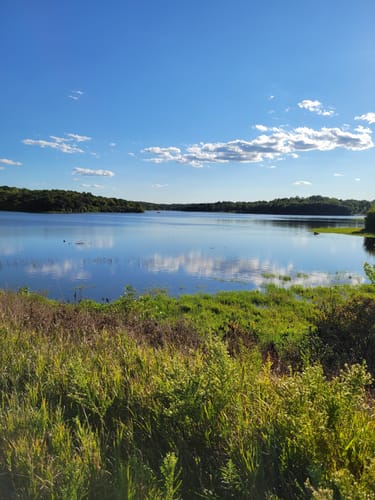 Best Hikes and Trails in Viking Lake State Park | AllTrails