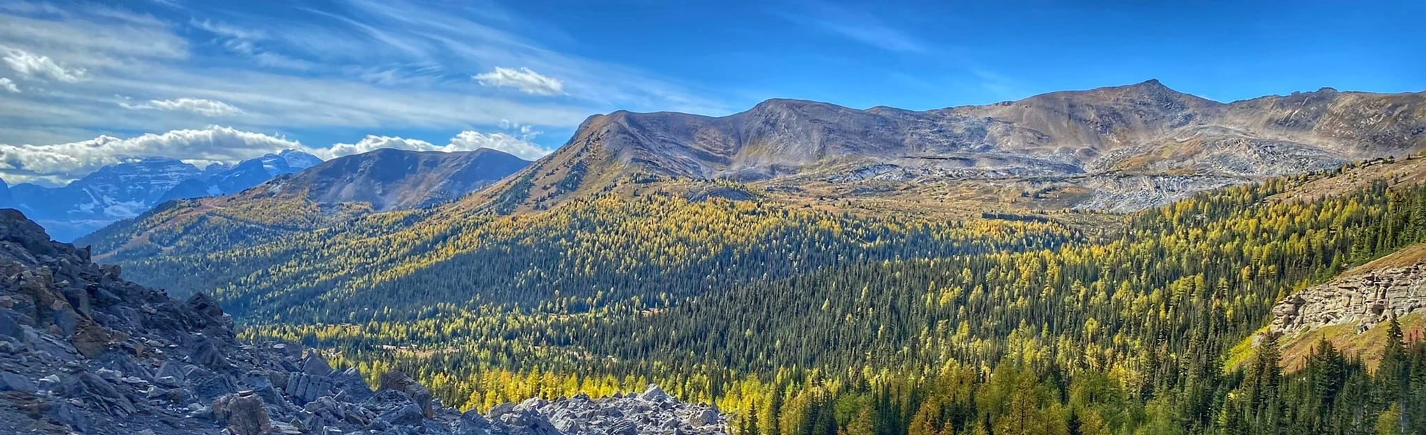 Skoki Loop Backpacking Trail, Alberta, Canada - 371 Reviews, Map ...