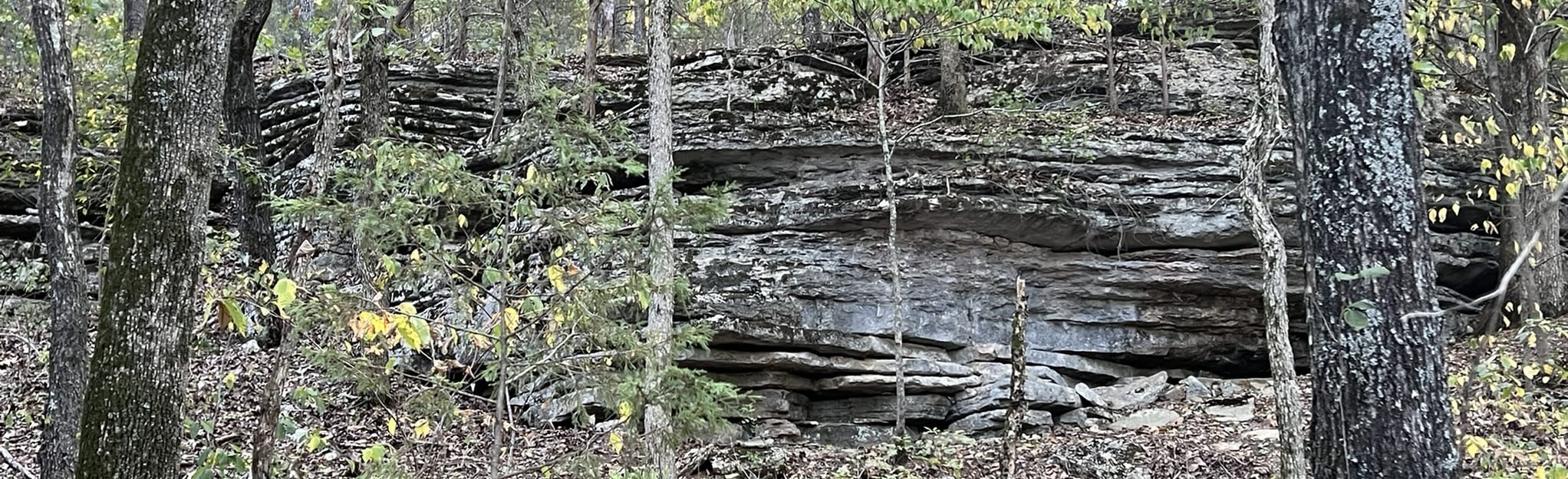 Pilot Knob Trail, Missouri - 114 Reviews, Map | AllTrails