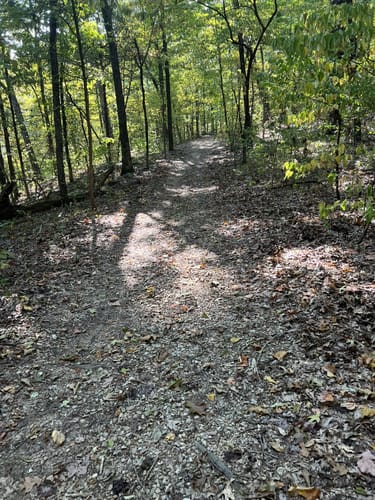 Best Hikes and Trails in Pilot Knob Conservation Area | AllTrails