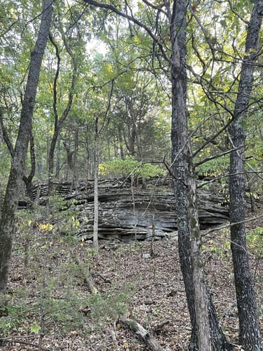 Best Hikes and Trails in Pilot Knob Conservation Area | AllTrails