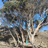 Albany Bulb, California - 348 Reviews, Map | AllTrails