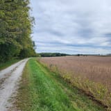 Sippo Valley Trail, Ohio - 213 Reviews, Map | AllTrails