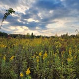 Sippo Valley Trail, Ohio - 213 Reviews, Map | AllTrails