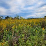 Sippo Valley Trail, Ohio - 213 Reviews, Map | AllTrails