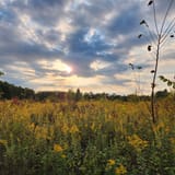 Sippo Valley Trail, Ohio - 213 Reviews, Map | AllTrails