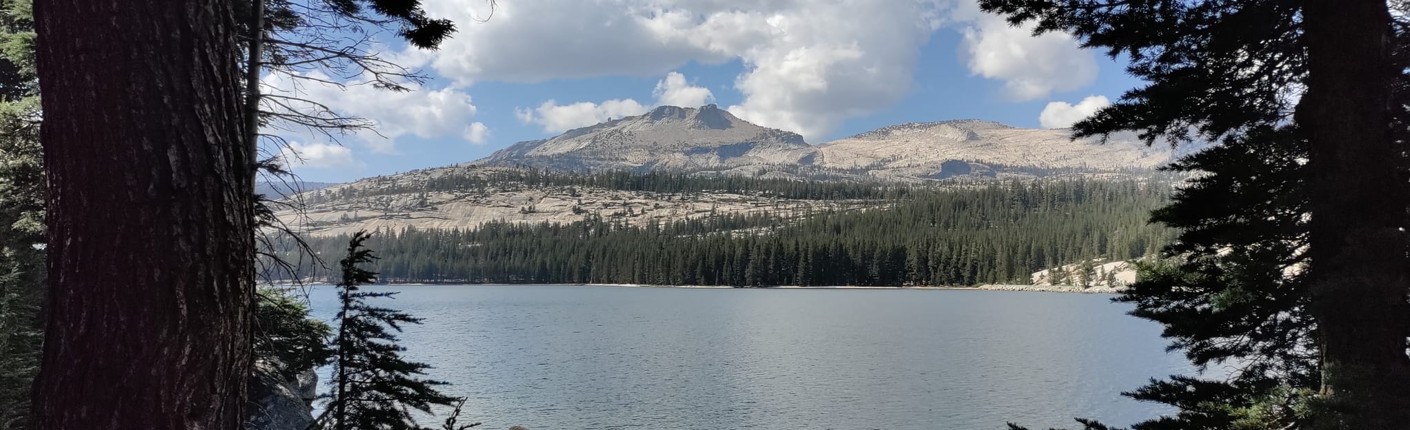 Tenaya Lake Trail, California - 277 Reviews, Map | AllTrails