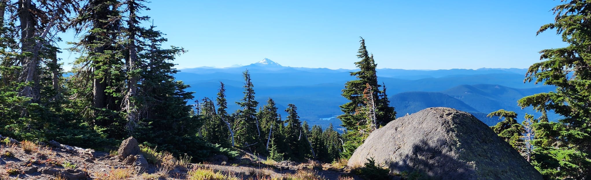 Mountaineer Trail Loop: 1.138 foto's - Oregon | AllTrails