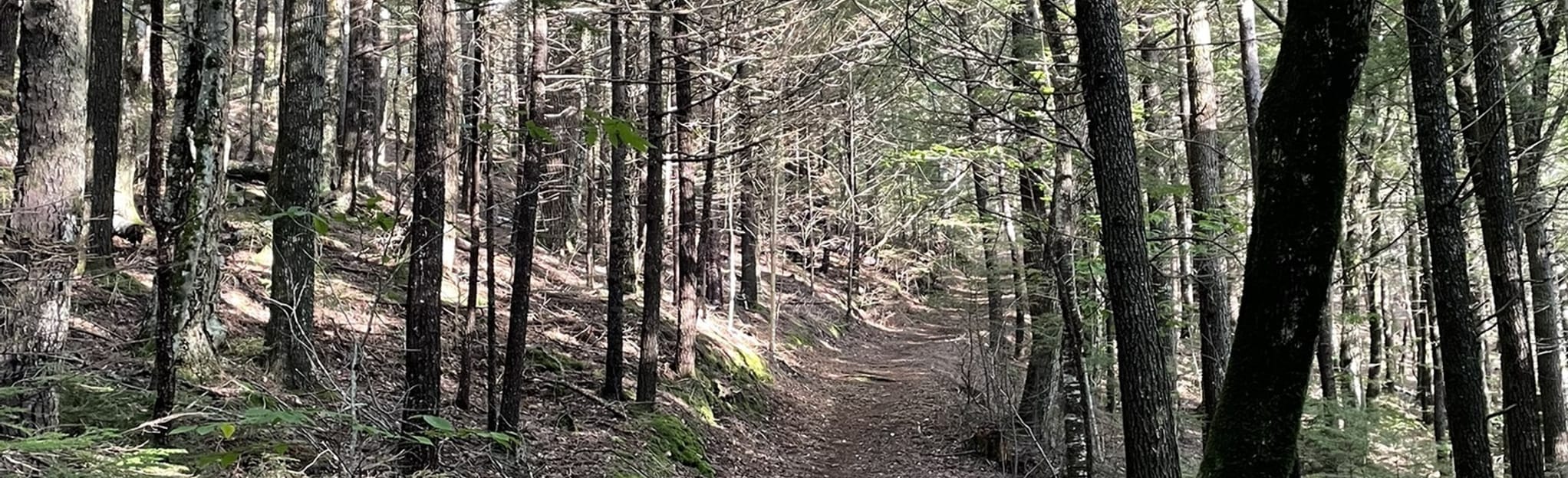 Gordon Path, New Hampshire - 7 Reviews, Map | AllTrails