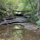 Sewanee Perimeter Trail, Tennessee - 241 Reviews, Map | AllTrails