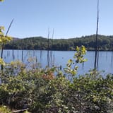 Council Bluff Lake Loop, Missouri - 255 Reviews, Map | AllTrails