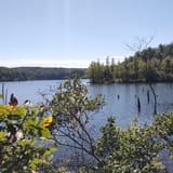 Council Bluff Lake Loop, Missouri - 255 Reviews, Map | AllTrails