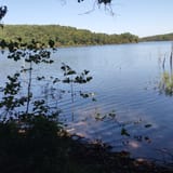 Council Bluff Lake Loop, Missouri - 255 Reviews, Map | AllTrails