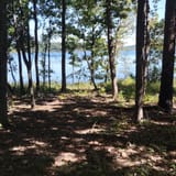 Council Bluff Lake Loop, Missouri - 254 Reviews, Map | AllTrails