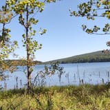 Council Bluff Lake Loop, Missouri - 255 Reviews, Map | AllTrails