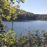 Council Bluff Lake Loop, Missouri - 257 Reviews, Map | AllTrails