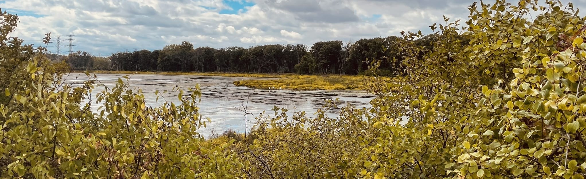 Wolf Lake Memorial Trail, Marquette Greenway and Illiana Marina Trail ...