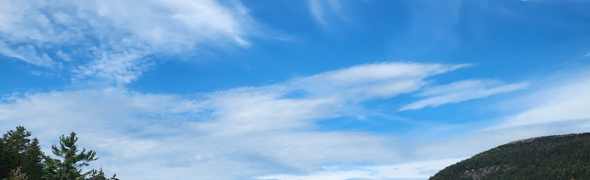 Jordan Stream and Carriage Road Loop: 145 Reviews, Map - Maine | AllTrails