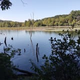 Council Bluff Lake Loop, Missouri - 255 Reviews, Map | AllTrails