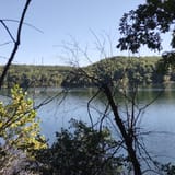 Council Bluff Lake Loop, Missouri - 255 Reviews, Map | AllTrails
