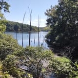 Council Bluff Lake Loop, Missouri - 255 Reviews, Map | AllTrails