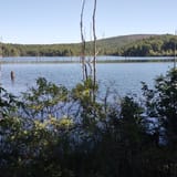 Council Bluff Lake Loop, Missouri - 255 Reviews, Map | AllTrails