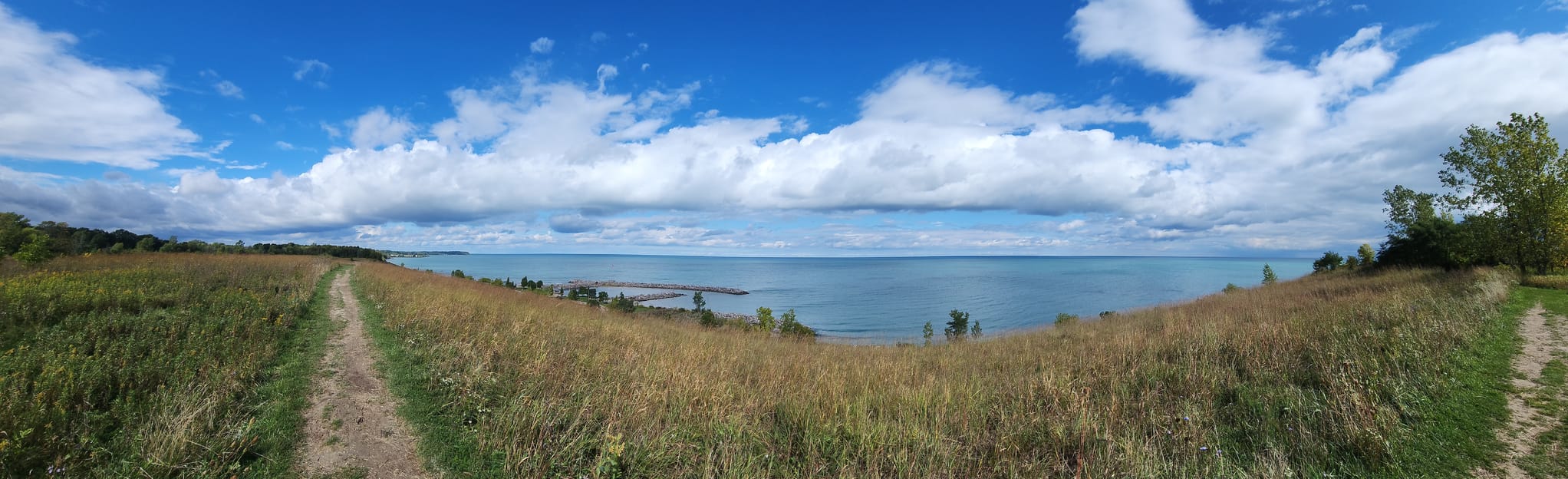 Forked Aster Hiking Trail: Northeast Loop, Wisconsin - 39 Reviews, Map ...