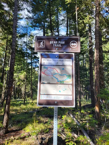 Best Hikes and Trails in 100 Mile House Demonstration Forest & Nature ...