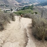 Ontario Ridge Trail via Sycamore Springs, California - 445 Reviews, Map ...