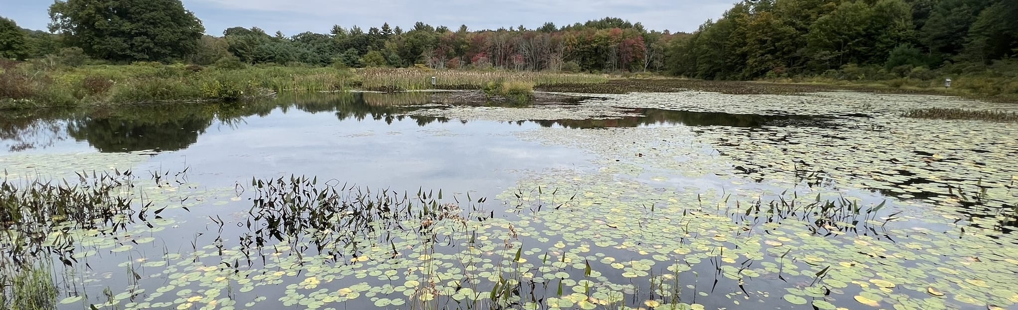 Weigold Loop | Map, Guide - Connecticut | AllTrails