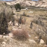 Mormon Rocks Interpretive Trail, California - 249 Reviews, Map | AllTrails