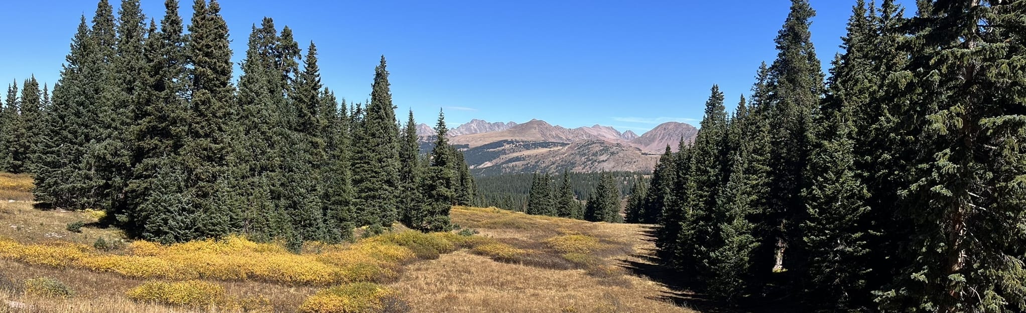 Shrine Ridge Trail, Colorado - 3,206 Reviews, Map | AllTrails