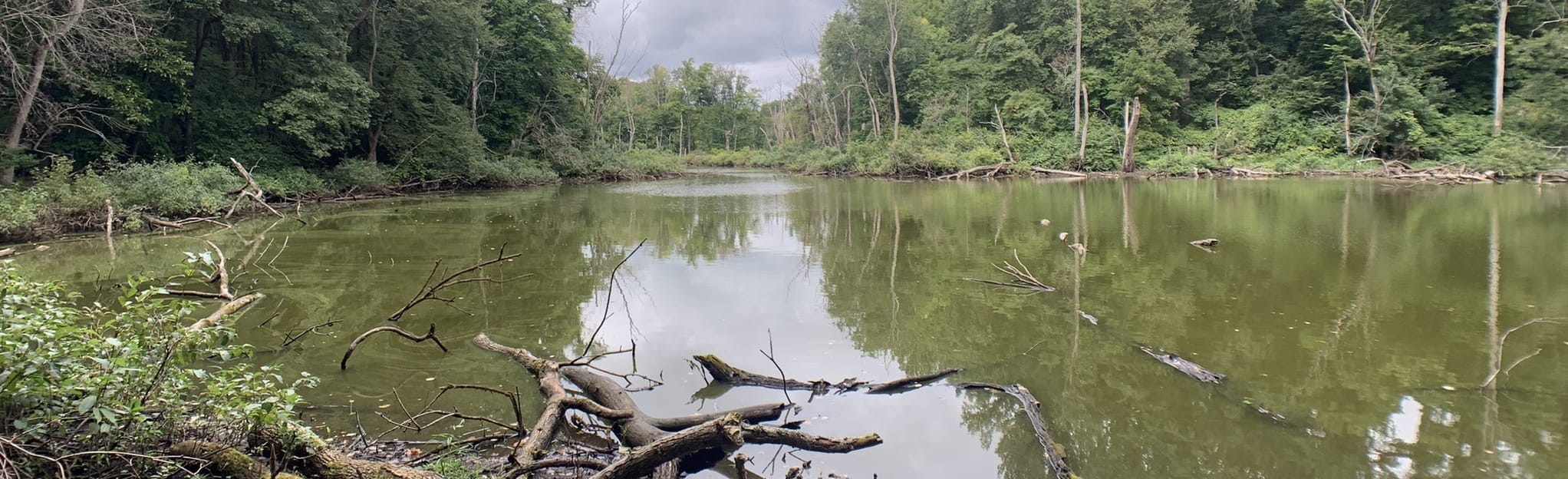 Pinhook Bog Upland Trail: 177 Reviews, Map - Indiana | AllTrails