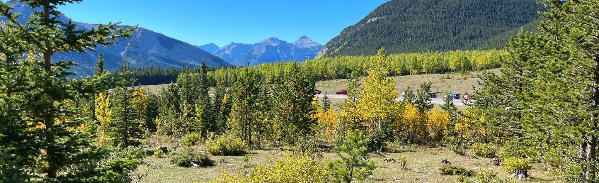 Cobble Flats Loop, Alberta, Canada - 10 Reviews, Map | AllTrails