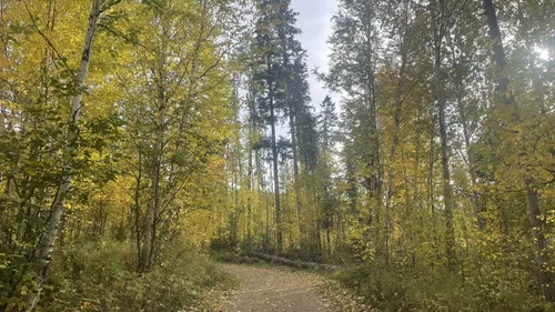10 Best Easy Trails in Fort McMurray | AllTrails