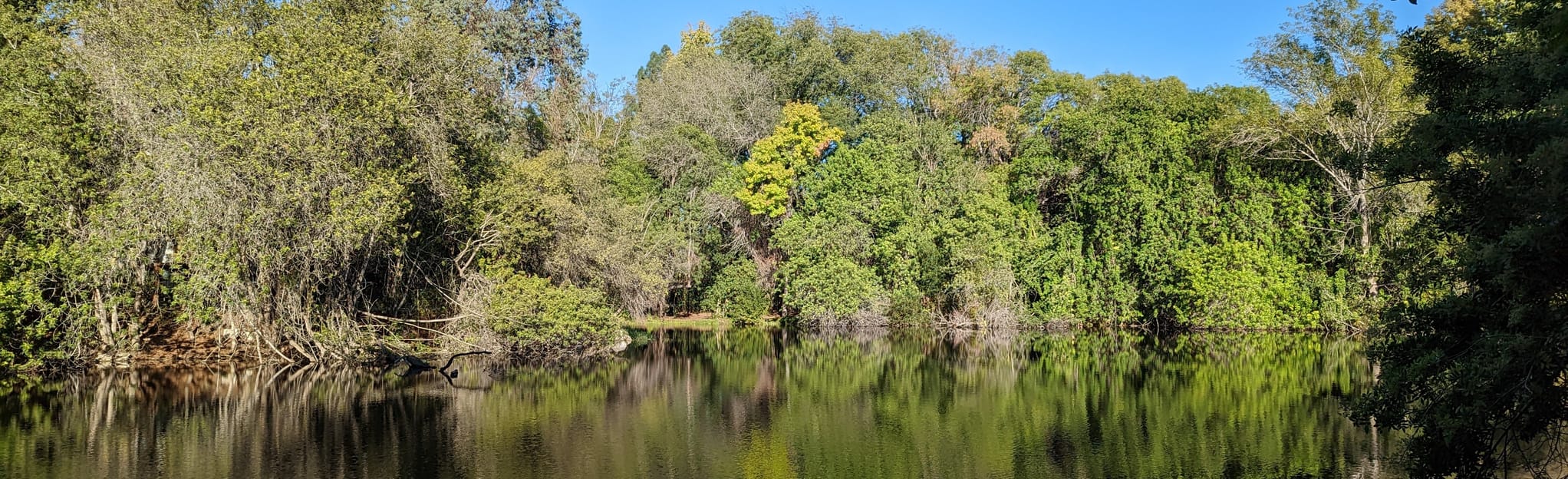 El Dorado Park Nature Trail, California - 1,425 Reviews, Map | AllTrails