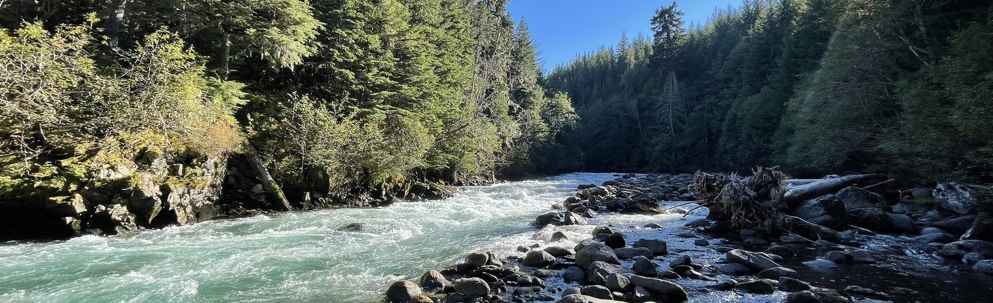 Riverside Trail: 88 Reviews, Map - British Columbia, Canada | AllTrails