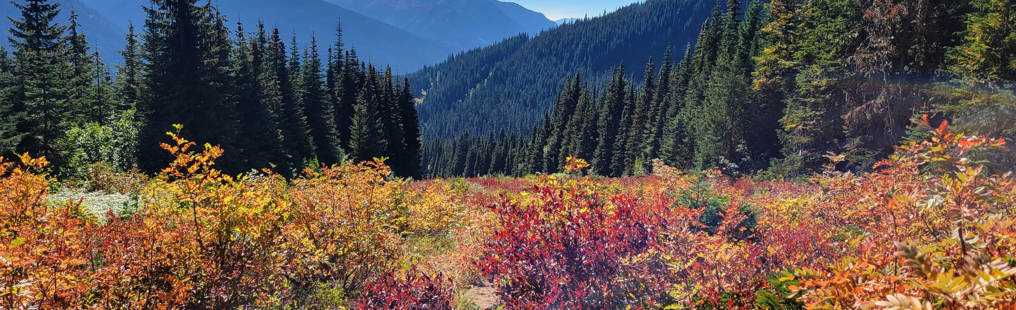 Falls Lake to Zoa Peak Trail: 40 Reviews, Map - British Columbia ...