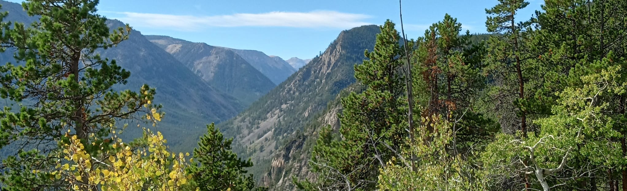 Beartrack Trail to Silver Run Plateau: 65 Reviews, Map - Montana ...