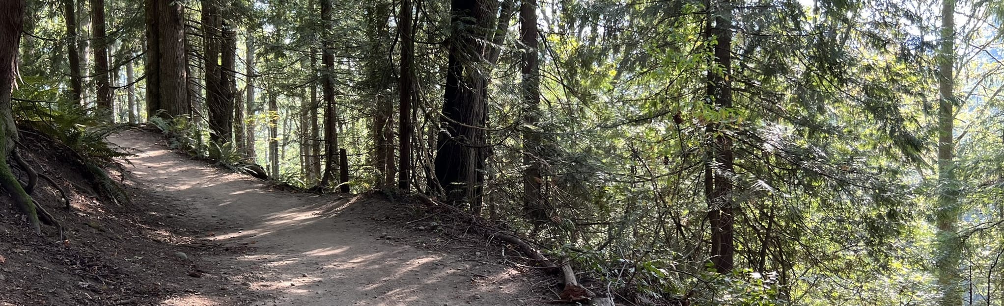 Coal Mines Loop Trail, Washington - 219 Reviews, Map | AllTrails