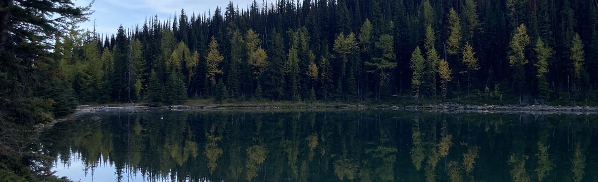 Taylor Lake, Alberta, Canada - 1,193 Reviews, Map | AllTrails