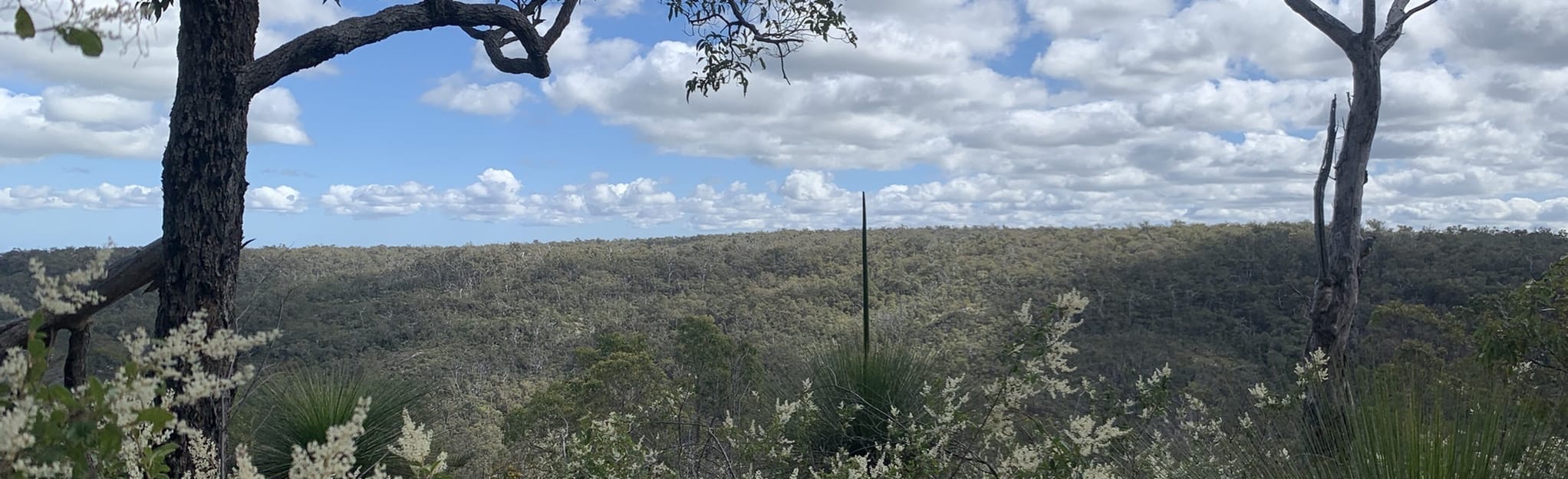 Kitty's Gorge and Serpentine River, Western Australia, Australia - 35 ...
